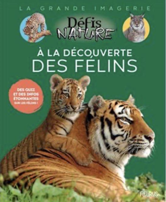 A la découverte des félins :: Anouk Journo